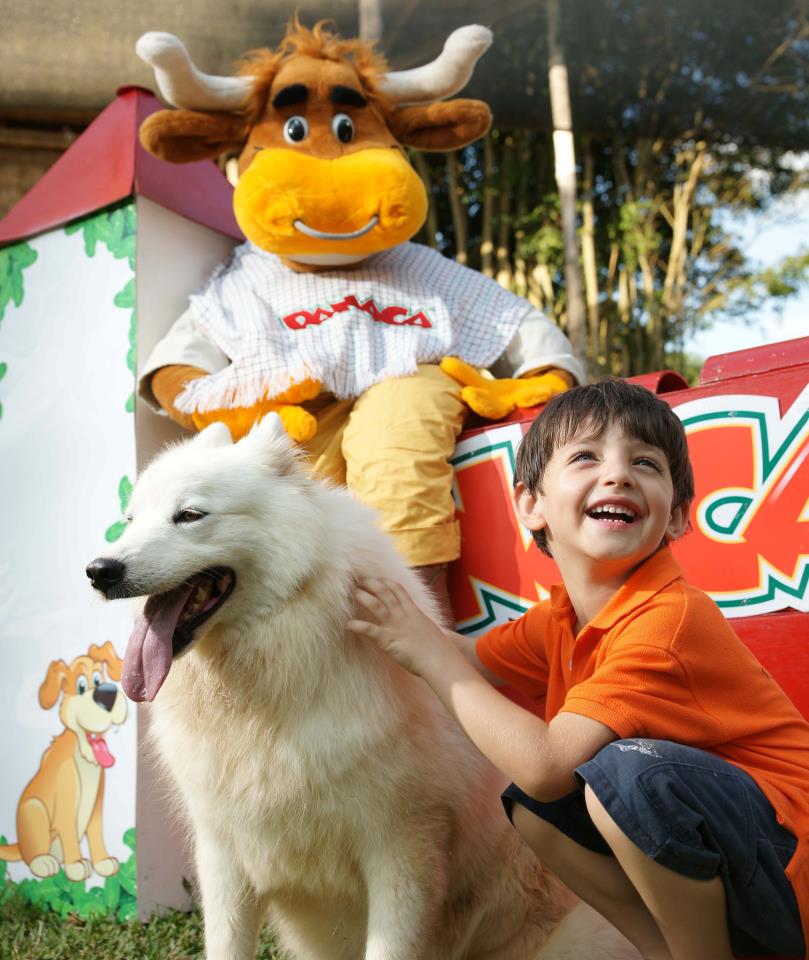 Galería de imágenes